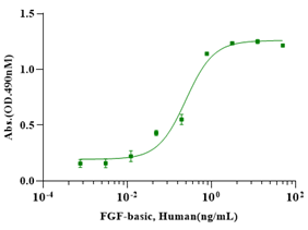Recombinant Human FGF-basic -154aa- Protein_Absin_优宁维(univ)商城